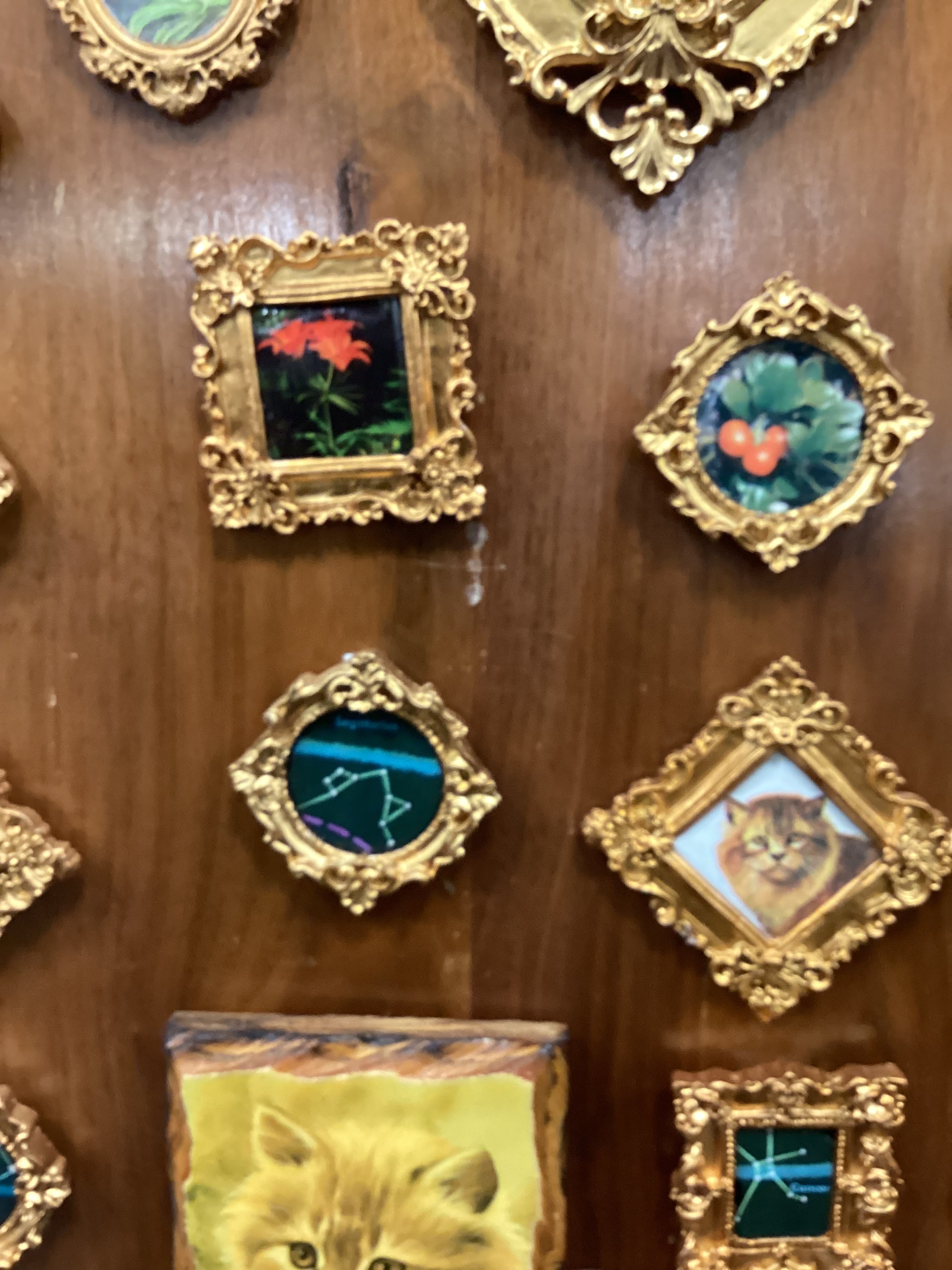 Tiny large frames – Lost Lakes Treasure Chest