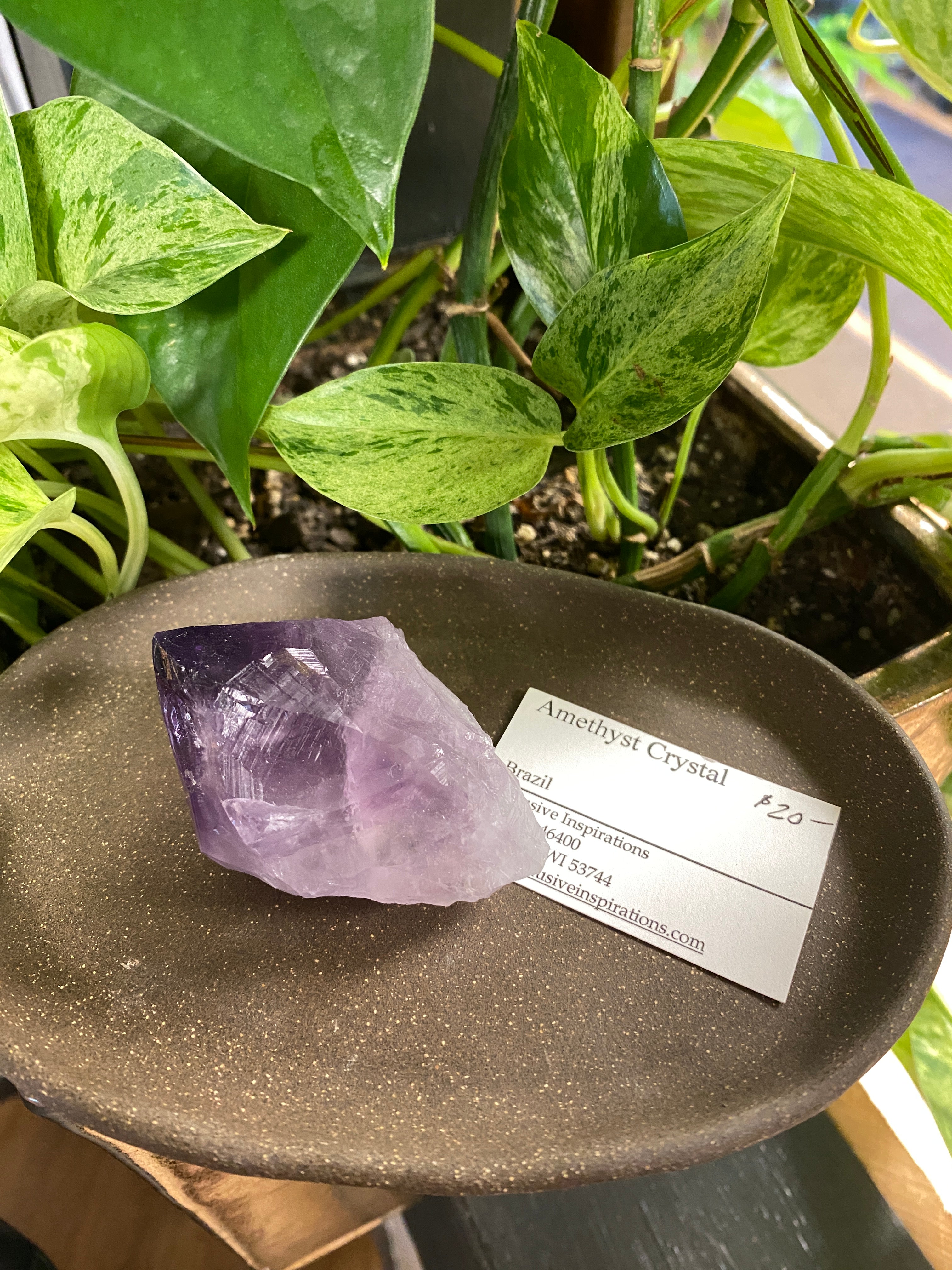 Amethyst Crystal – Lost Lakes Treasure Chest