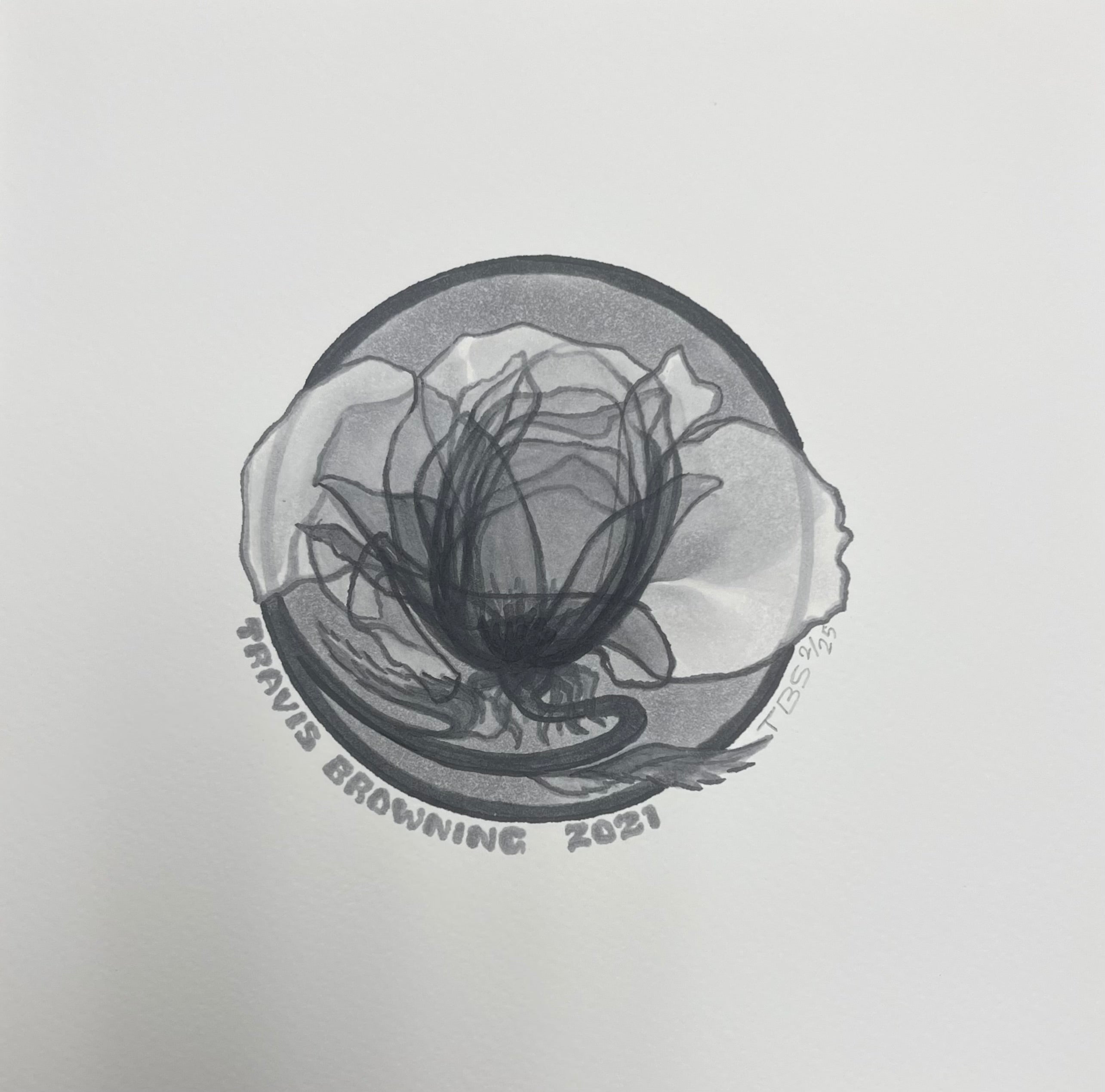 X-Ray Circle Floral Print – Lost Lakes Treasure Chest
